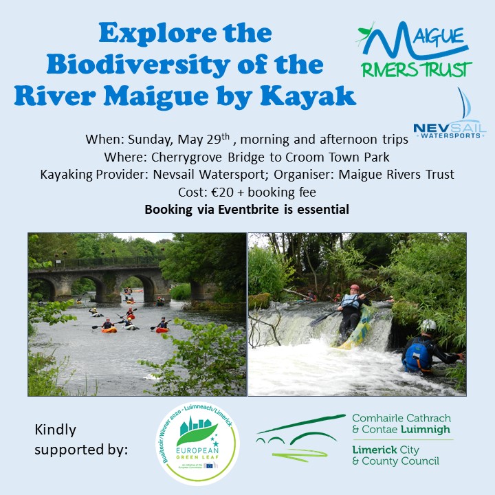 Discover the Biodiversity of the River Maigue by Kayak – Maigue Rivers ...